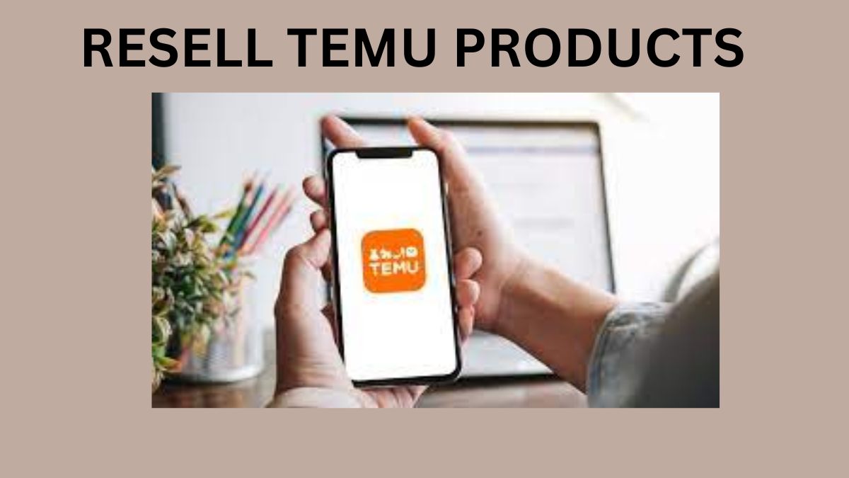 Can I Resell Temu Products: Prospects and Pitfalls (2024)