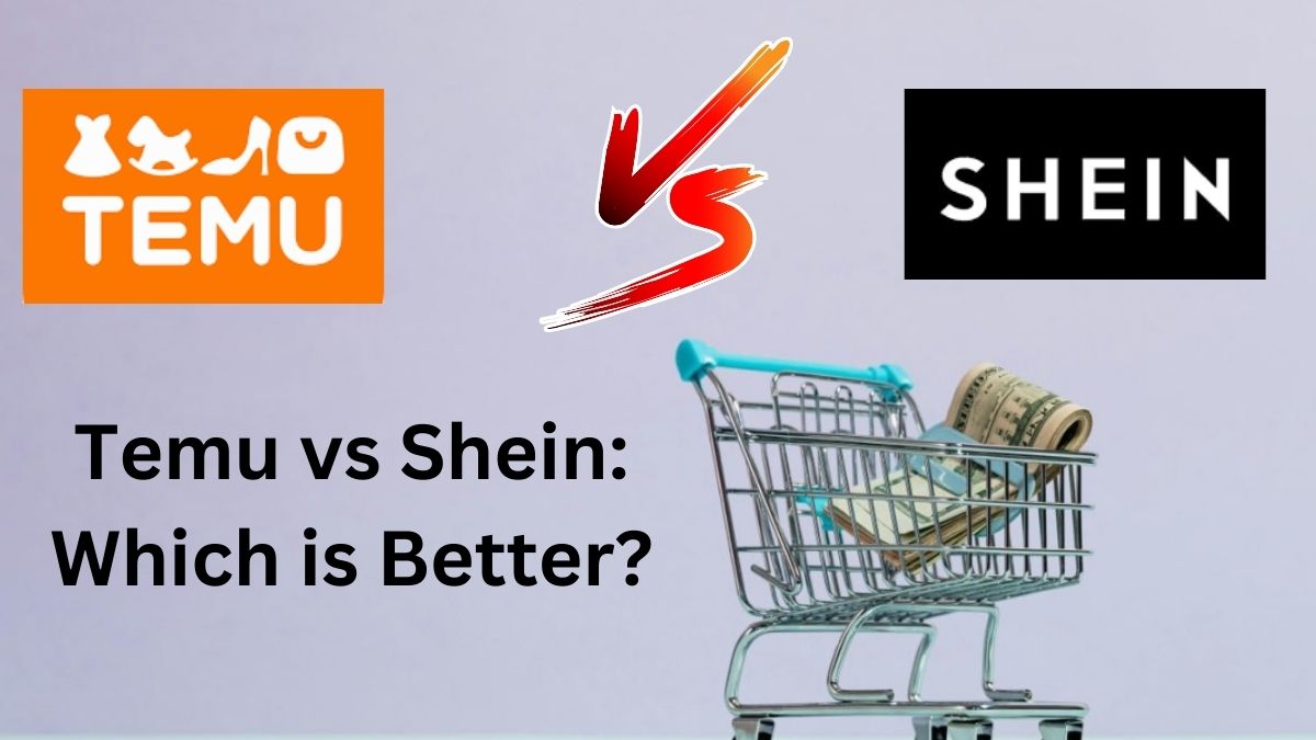 Temu vs Shein 2024: Which Is Better And Cheaper